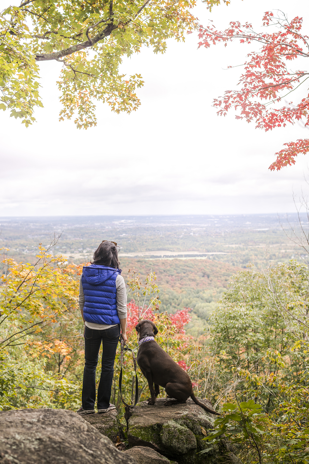 Moving to Canada? Here are 4 Reasons Why You Should Live & Work in ...
